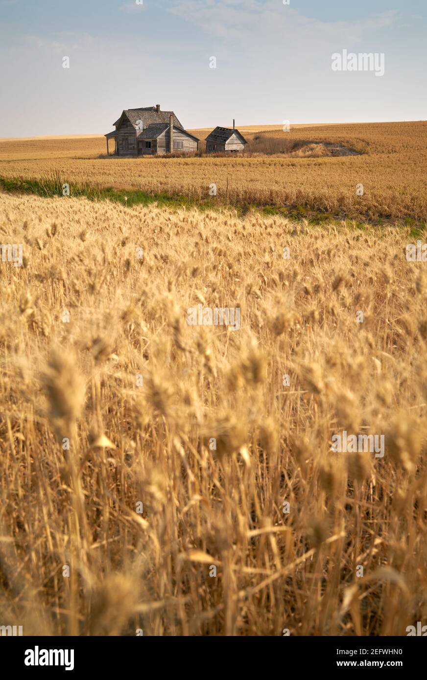 Rustic Abandoned Farmstead. Old abandoned farm buildings on ...