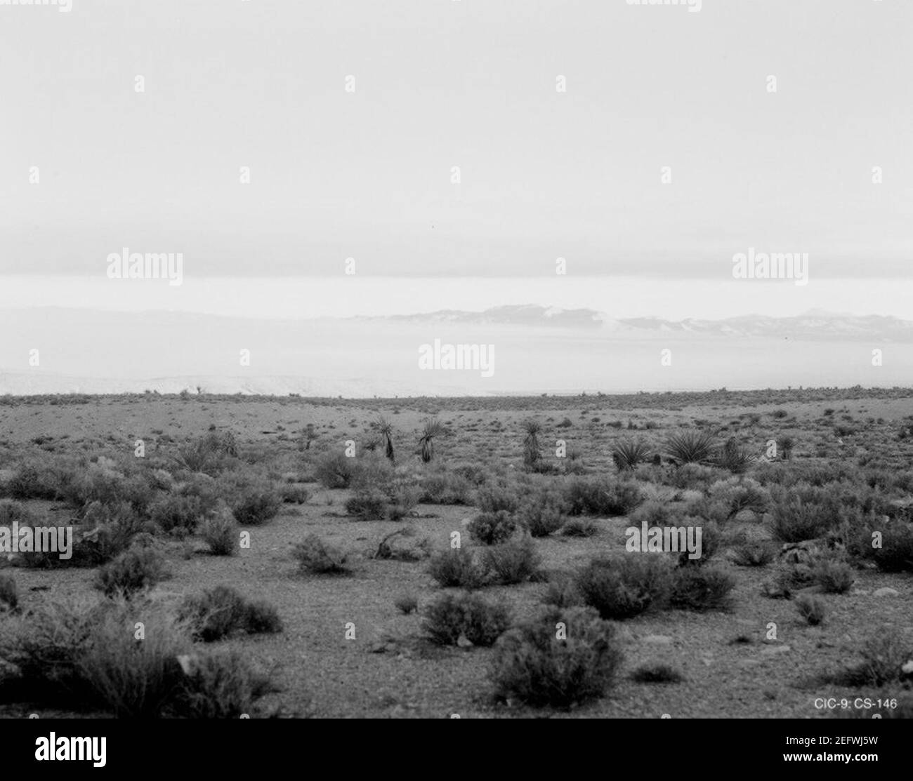 Operation fox hi-res stock photography and images - Alamy