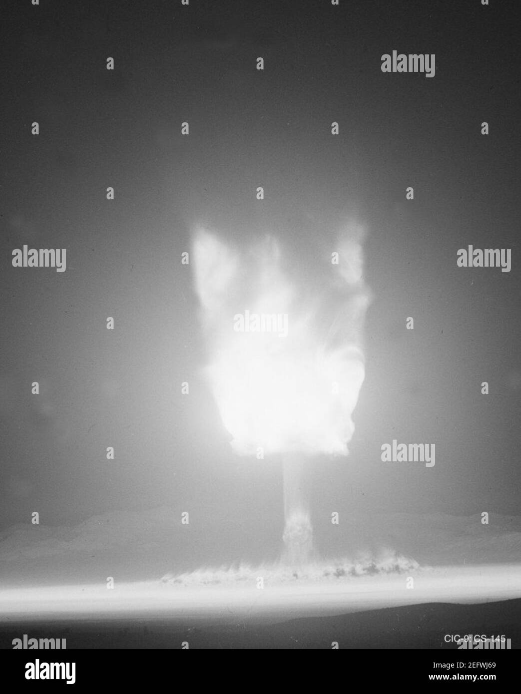 Operation fox hi-res stock photography and images - Alamy