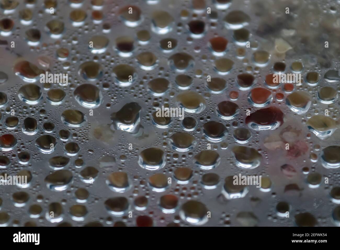 Hot water drops condensating at a glass pot cover during cooking Stock ...