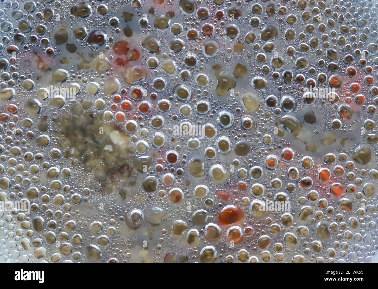 Hot water drops condensating at a glass pot cover during cooking Stock ...
