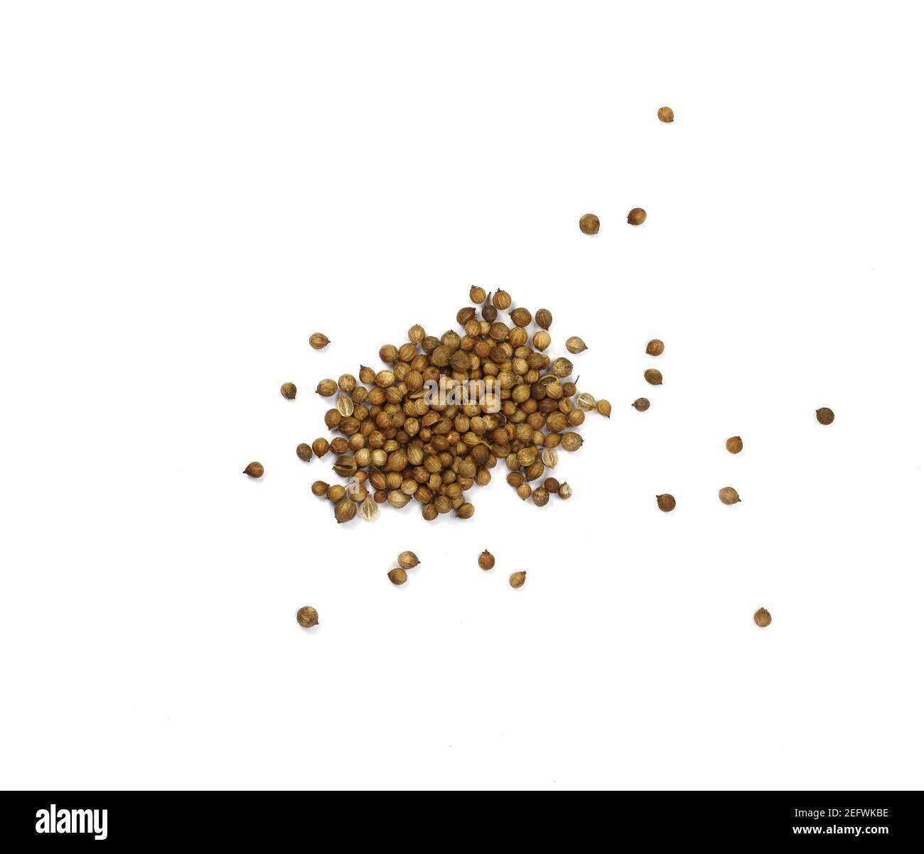 Coriander seeds isolated on white background Stock Photo - Alamy