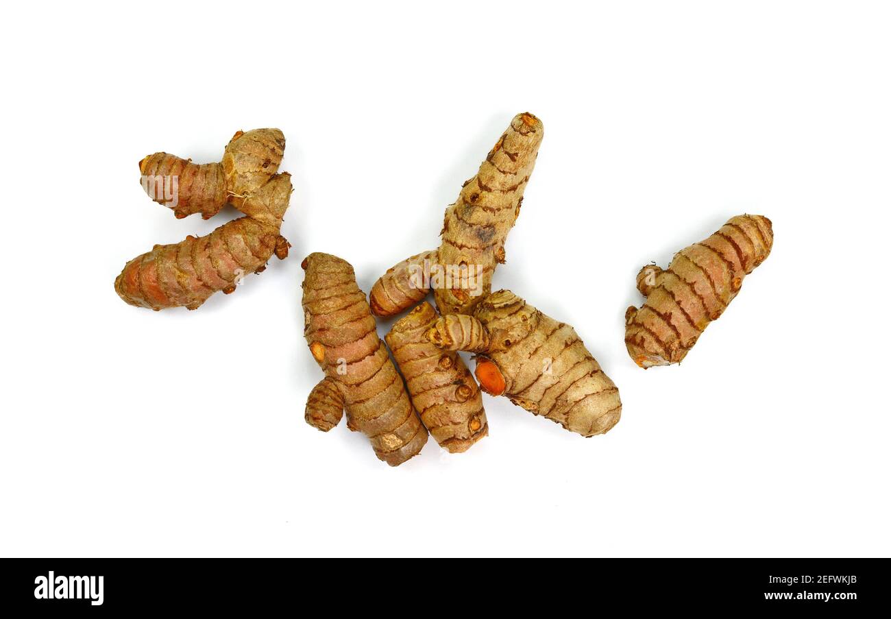 Fresh turmeric roots isolated on white background. Sliced fresh ...