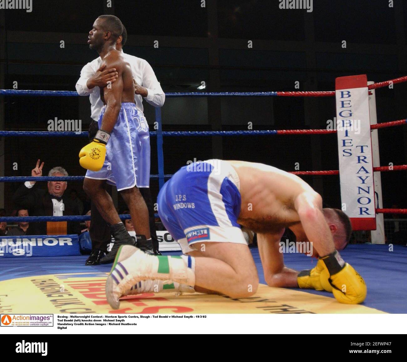 Bambi images hi-res stock photography and images - Alamy