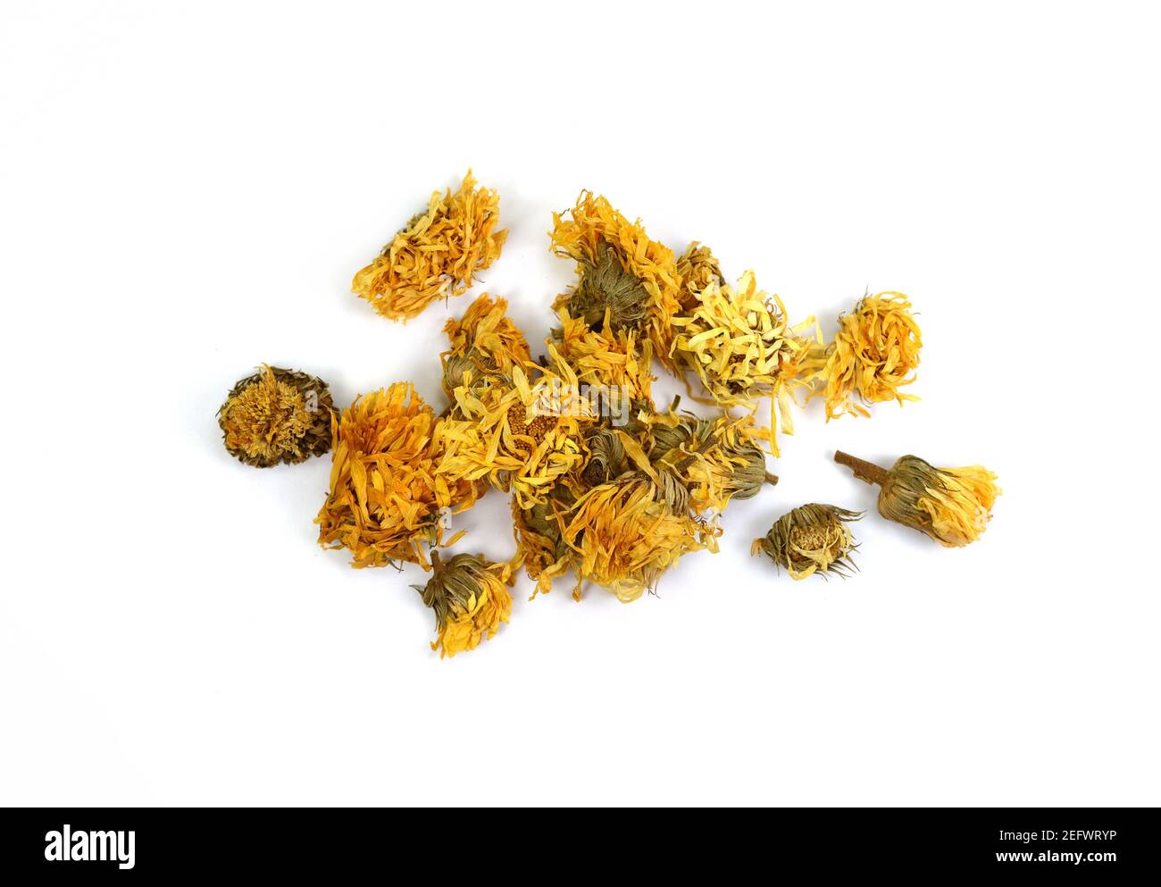 Calendula officinalis or Marigold dry tea flowers isolated. Calendula ...