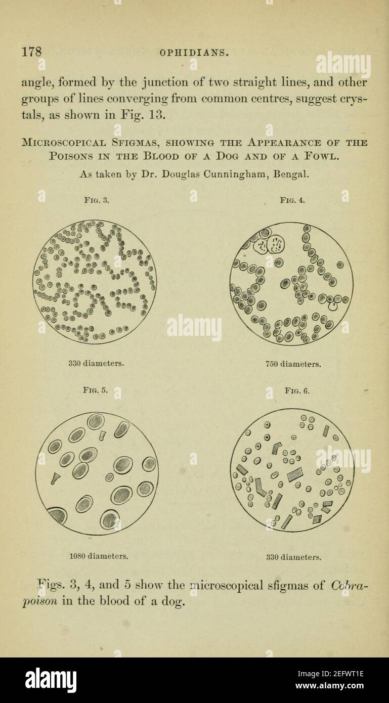 Ophidians, zoological arrangement of the different genera, including ...