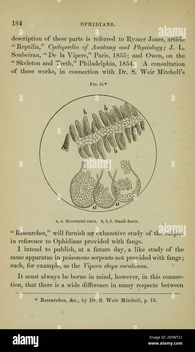 Ophidians, zoological arrangement of the different genera, including ...