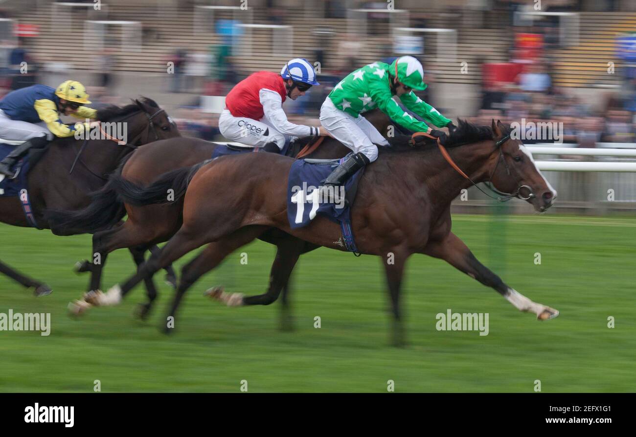 Arkle horse hi-res stock photography and images - Alamy