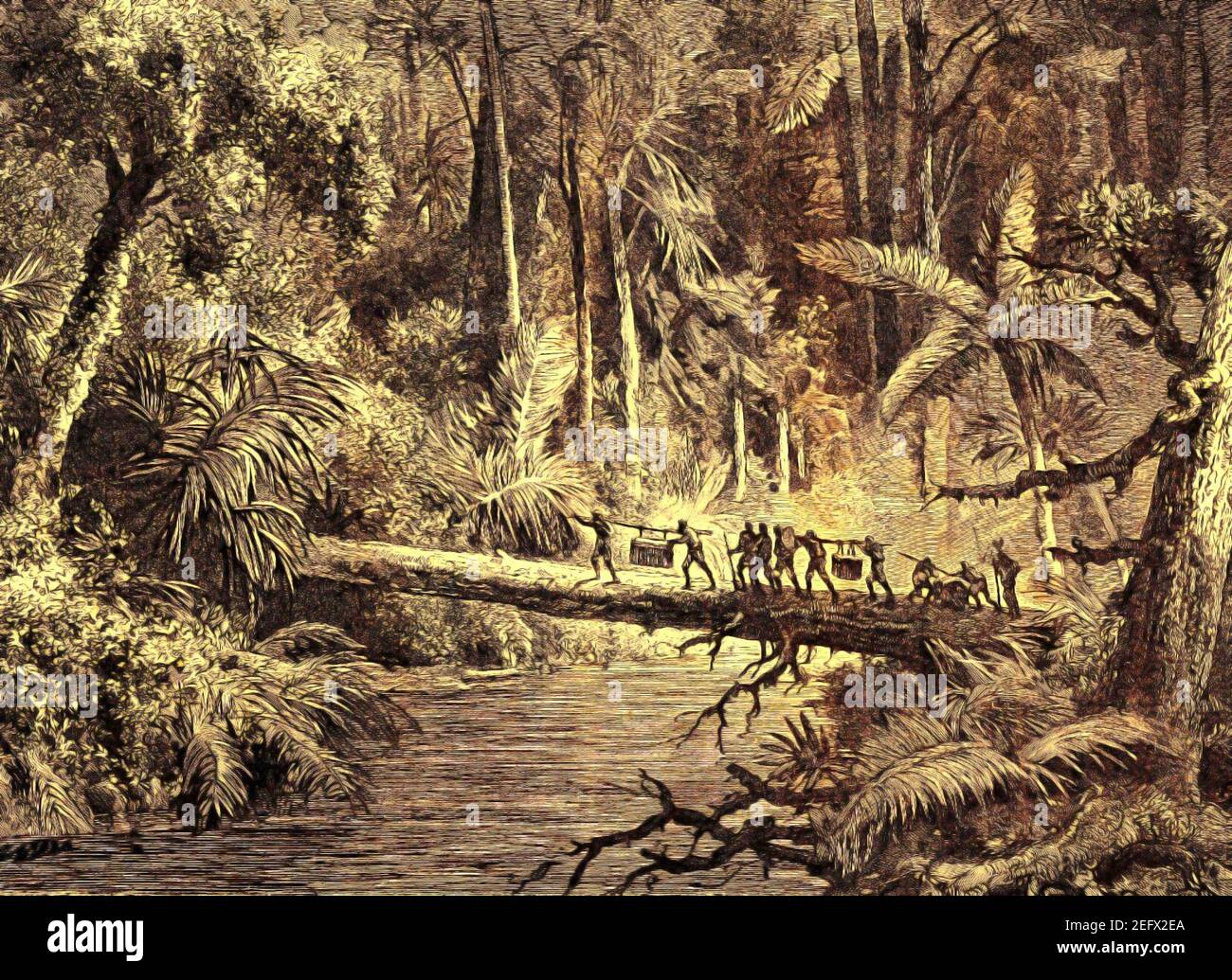 Oerwoud hi-res stock photography and images - Alamy