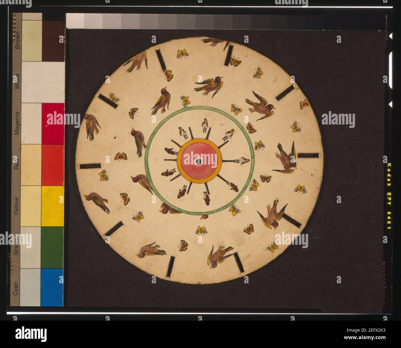 Optical illusion disc with birds, butterflies, and a man jumping Stock ...