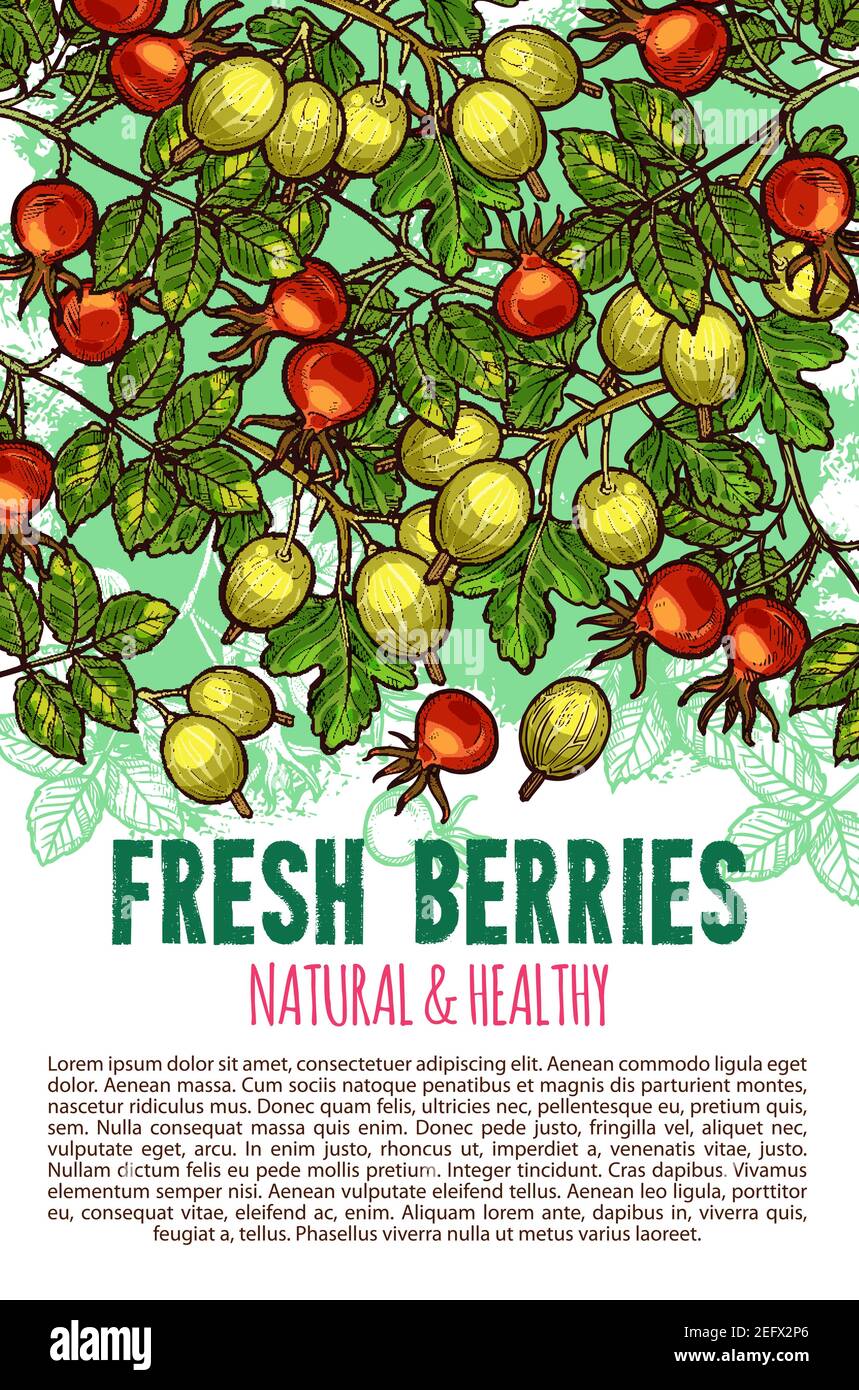 Rose harvest Stock Vector Images - Alamy