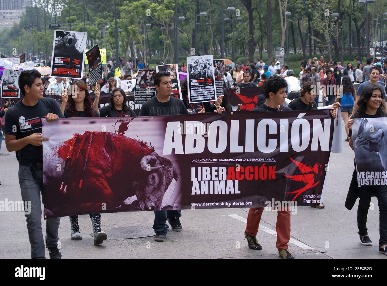 Showing the people's commitment to eradicating violence against animals ...