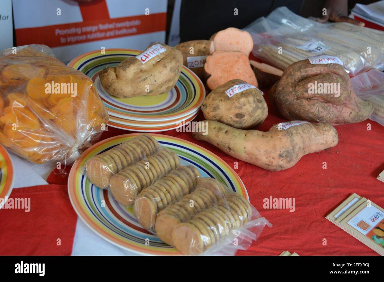 Orange-Fleshed Sweet Potato Value Chain (23463701639 Stock Photo - Alamy
