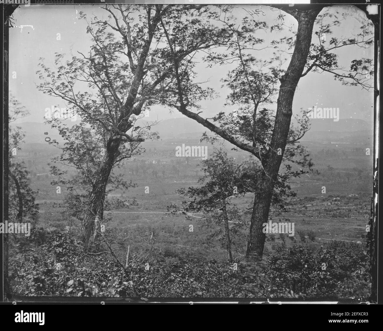 From the orchard Black and White Stock Photos & Images - Alamy