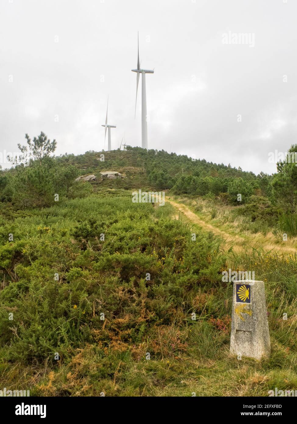 Wind turbines along the Camino track on a wet morning - Olveiroa ...