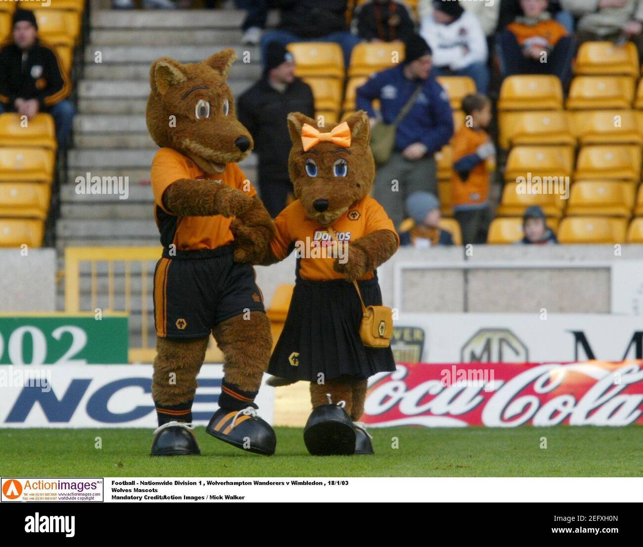 Wolverhampton wolves mascots hi-res stock photography and images - Alamy