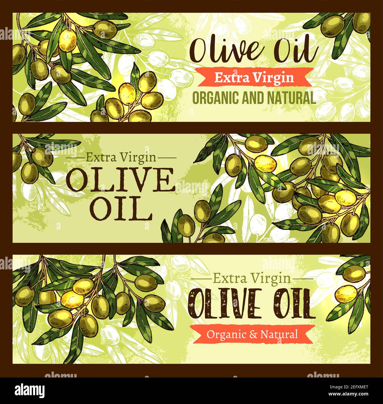 Olive oil organic extra virgin olive oil sketch banners for natural ...