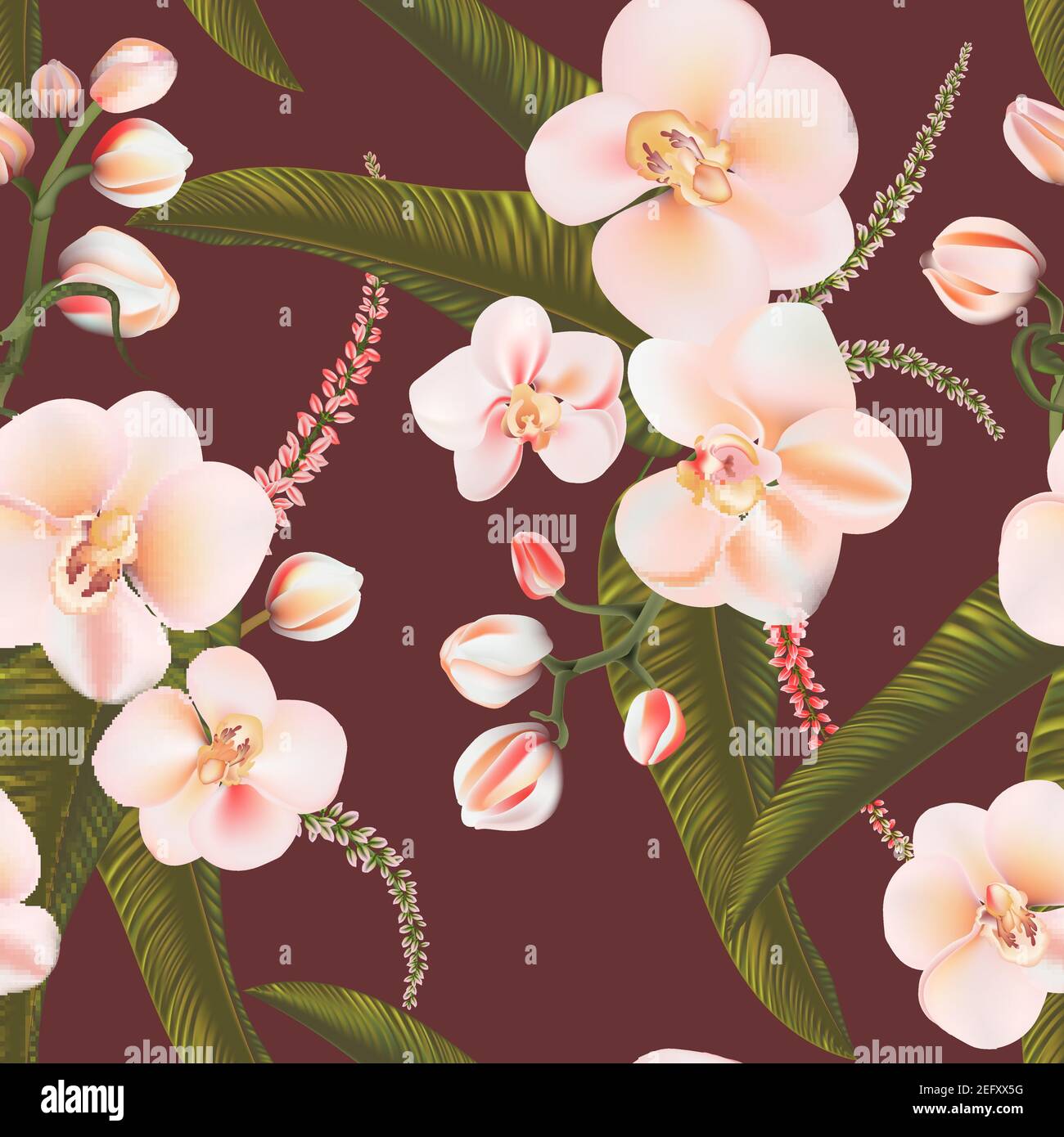 Orchids of australia Stock Vector Images - Alamy