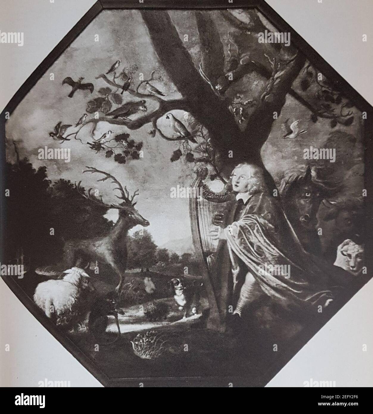 Orfeus hi-res stock photography and images - Alamy