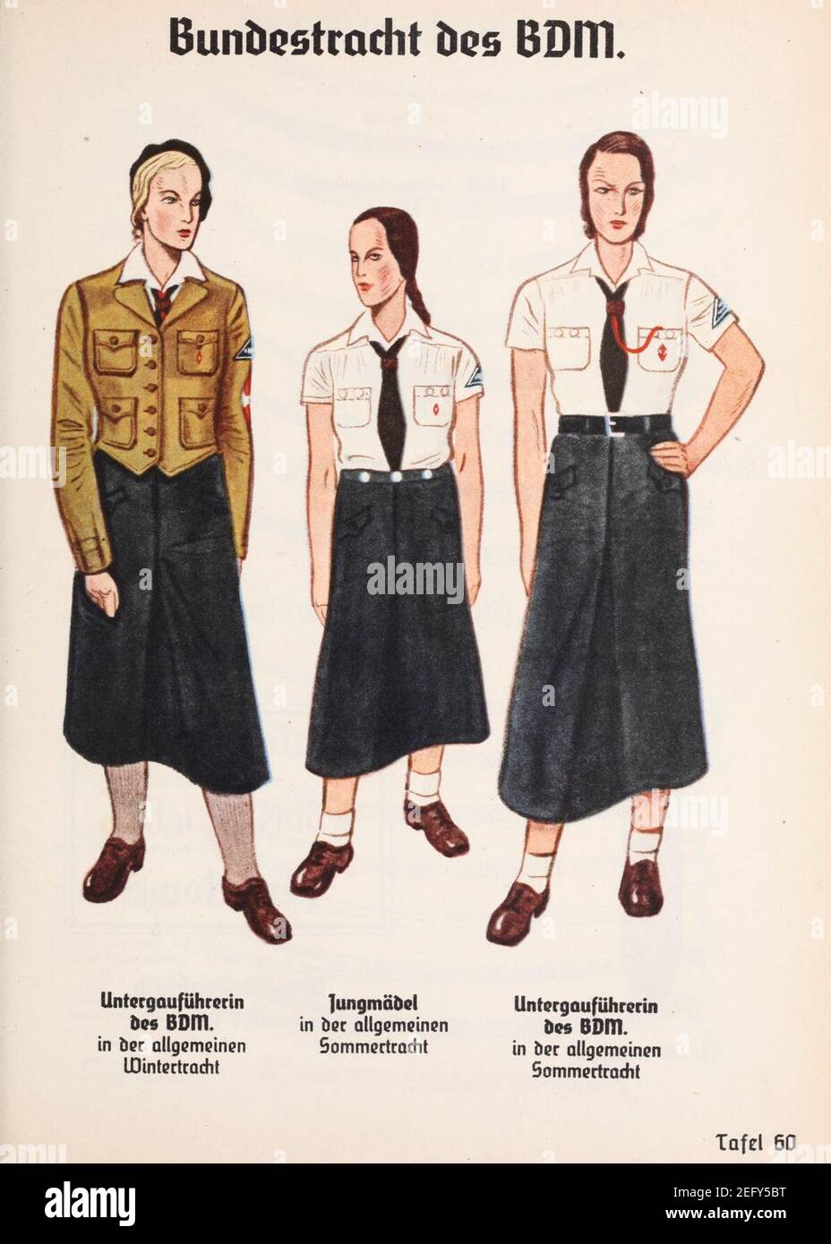 Organisationsbuc00nati orig 0557 ORGANISATIONSBUCH DER NSDAP 1937 Tafel ...