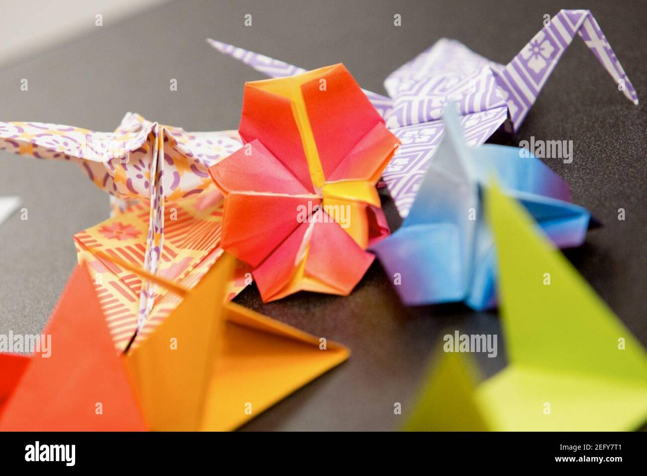 Origami workshop hi-res stock photography and images - Alamy