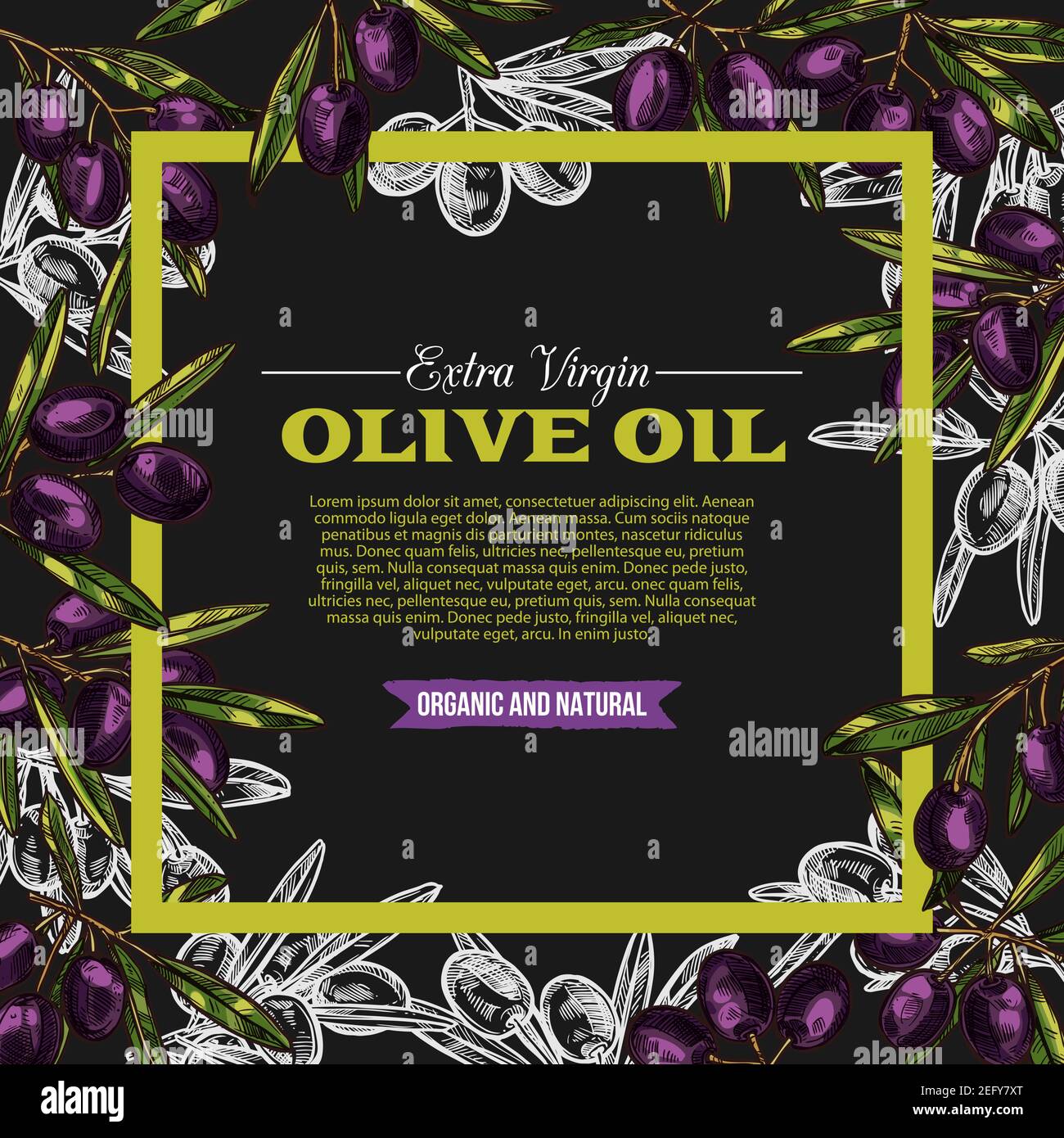 Olive oil extra virgin product sketch poster of black olives for ...