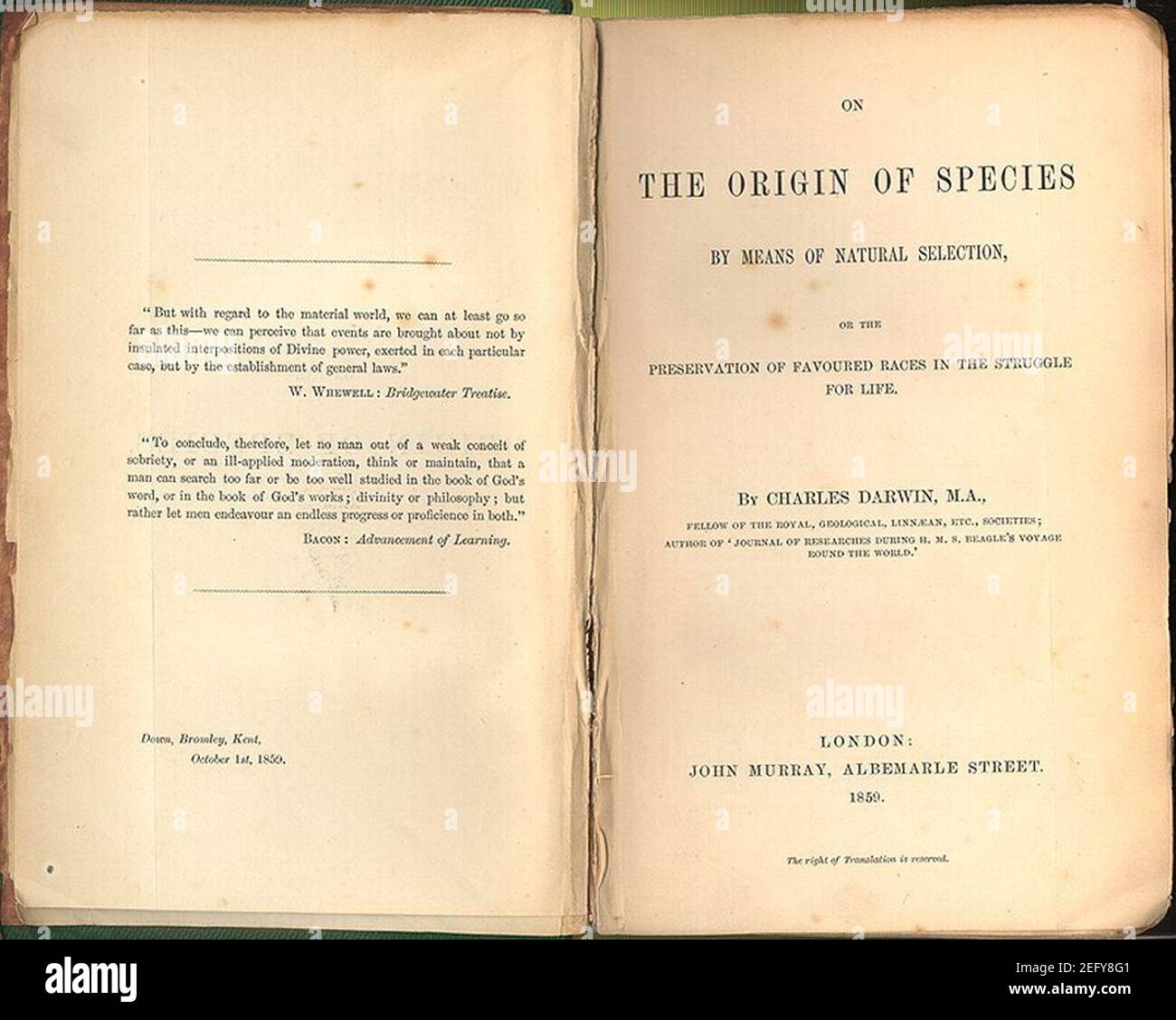 Origin of Species Stock Photo - Alamy