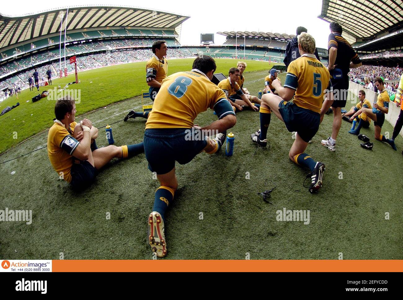 Australian rugby team 2004 hi-res stock photography and images - Alamy