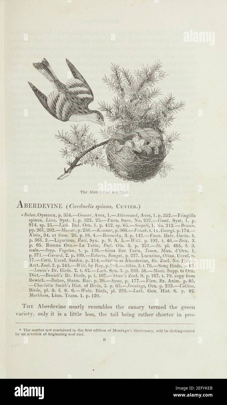 Ornithological dictionary of British birds (Page 1 Stock Photo - Alamy