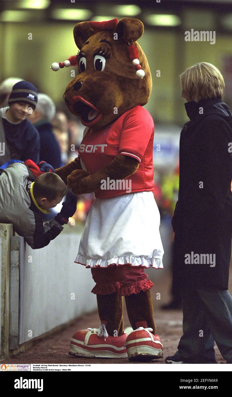 The blackburn rovers mascot hi-res stock photography and images - Alamy