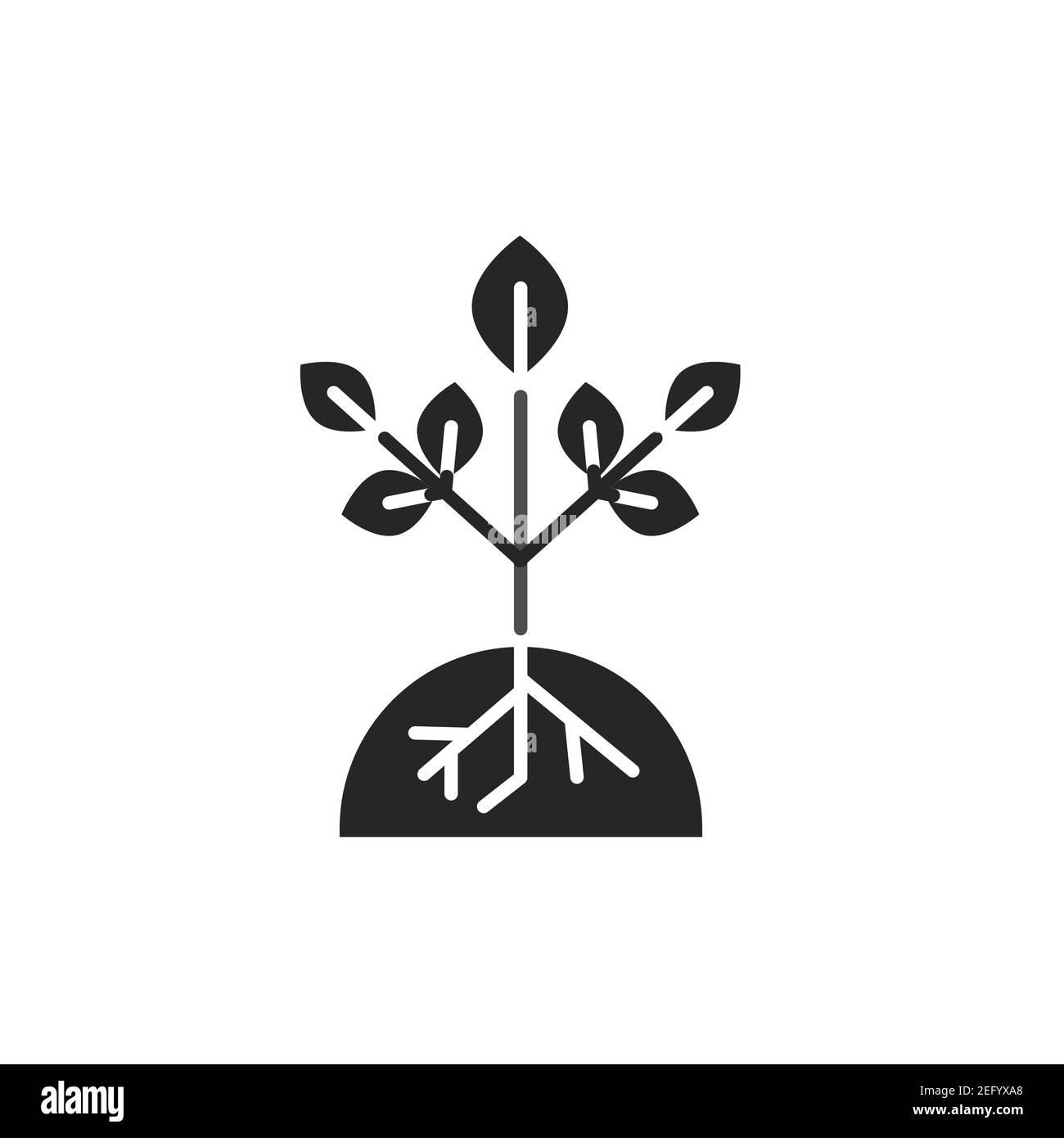 Plant Growth Icon