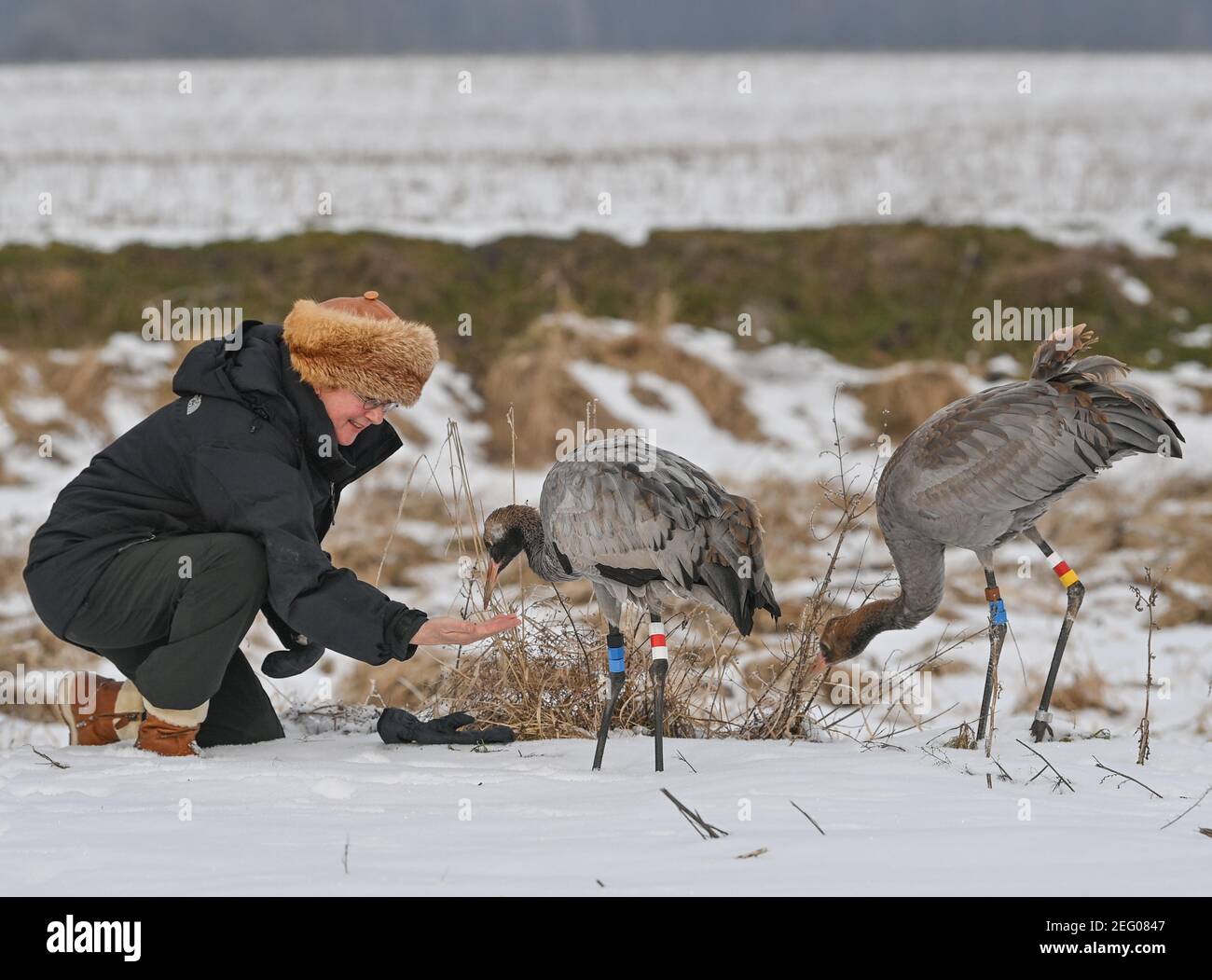 15 February 2021, Brandenburg, Steinhöfel: Beate Blahy, an animal and ...