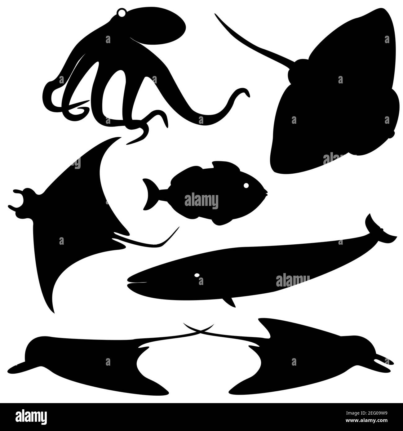 Tropical reef fish vector vectors Black and White Stock Photos & Images ...