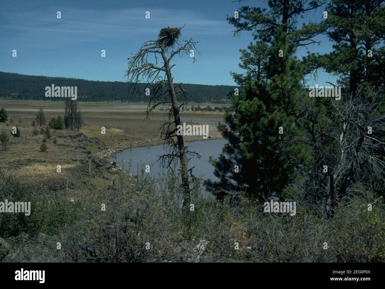 Gerber reservoir hi-res stock photography and images - Alamy