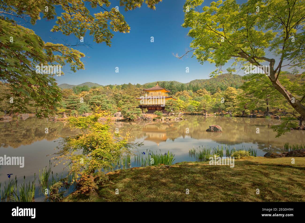 The pond and Temple of the Golden Pavilion, or Kinkaku-ji, Kyoto, Japan ...