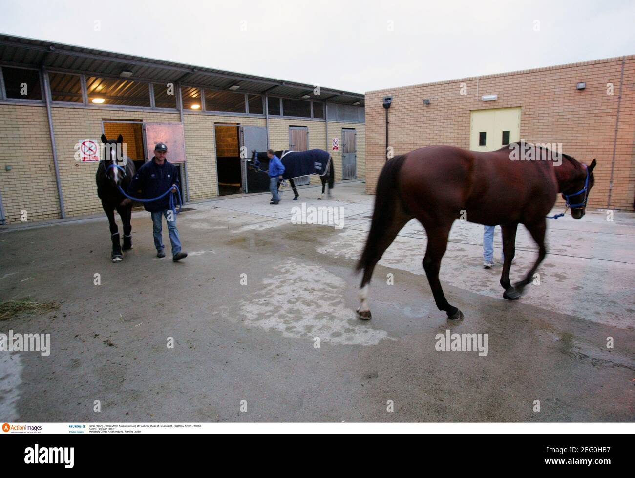 Horse Racing Horses High Resolution Stock Photography and Images - Alamy