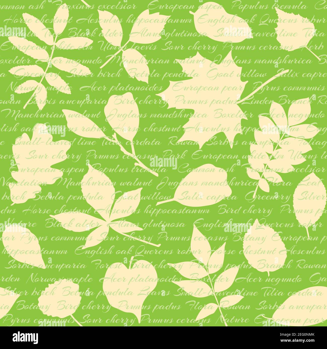 Seamless pattern with leaves silhouettes and text Stock Vector Image ...