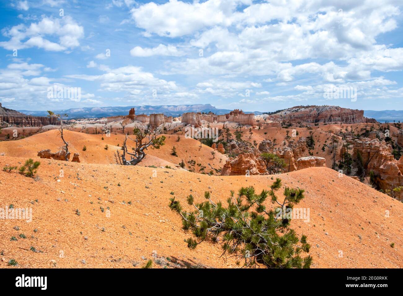 Red Rocks Hoodoos in Bryce Point at Bryce Canyon National Park, Utah ...
