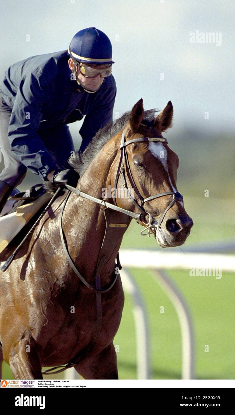 Galileo horse hi-res stock photography and images - Alamy