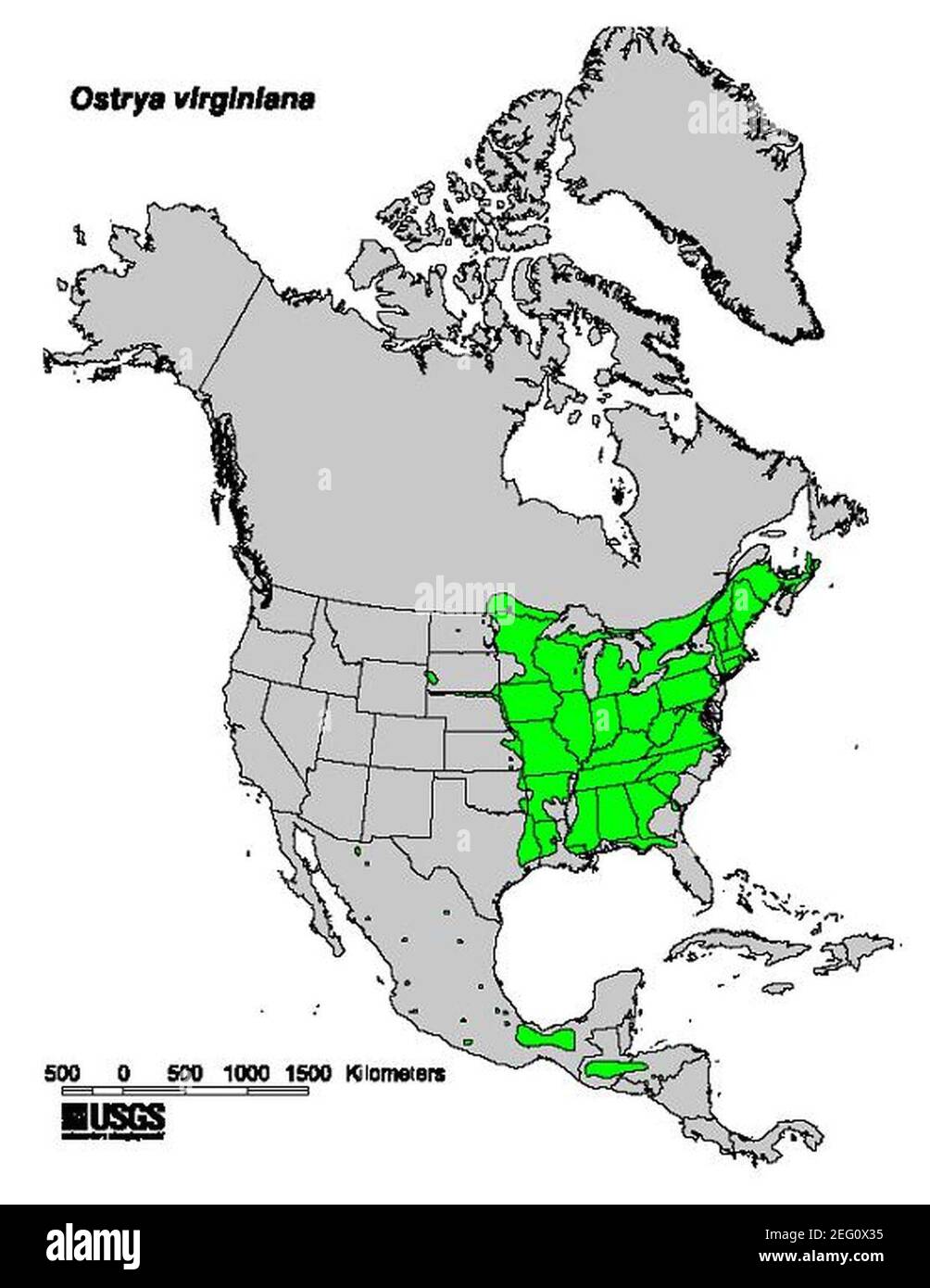 Ostrya virginiana range map Stock Photo - Alamy
