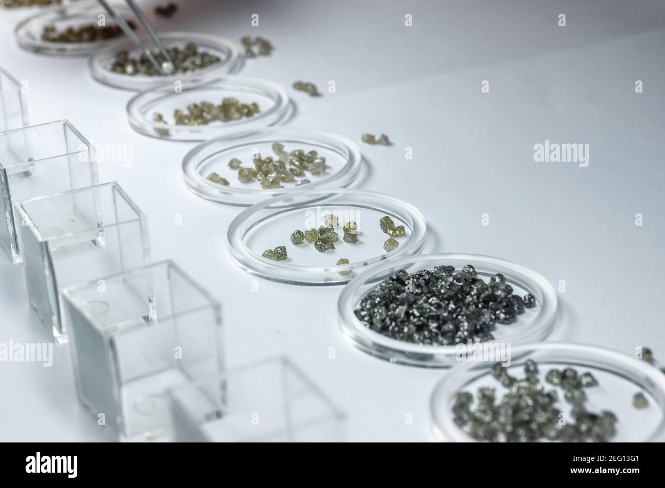 Grading and sorting hi-res stock photography and images - Alamy