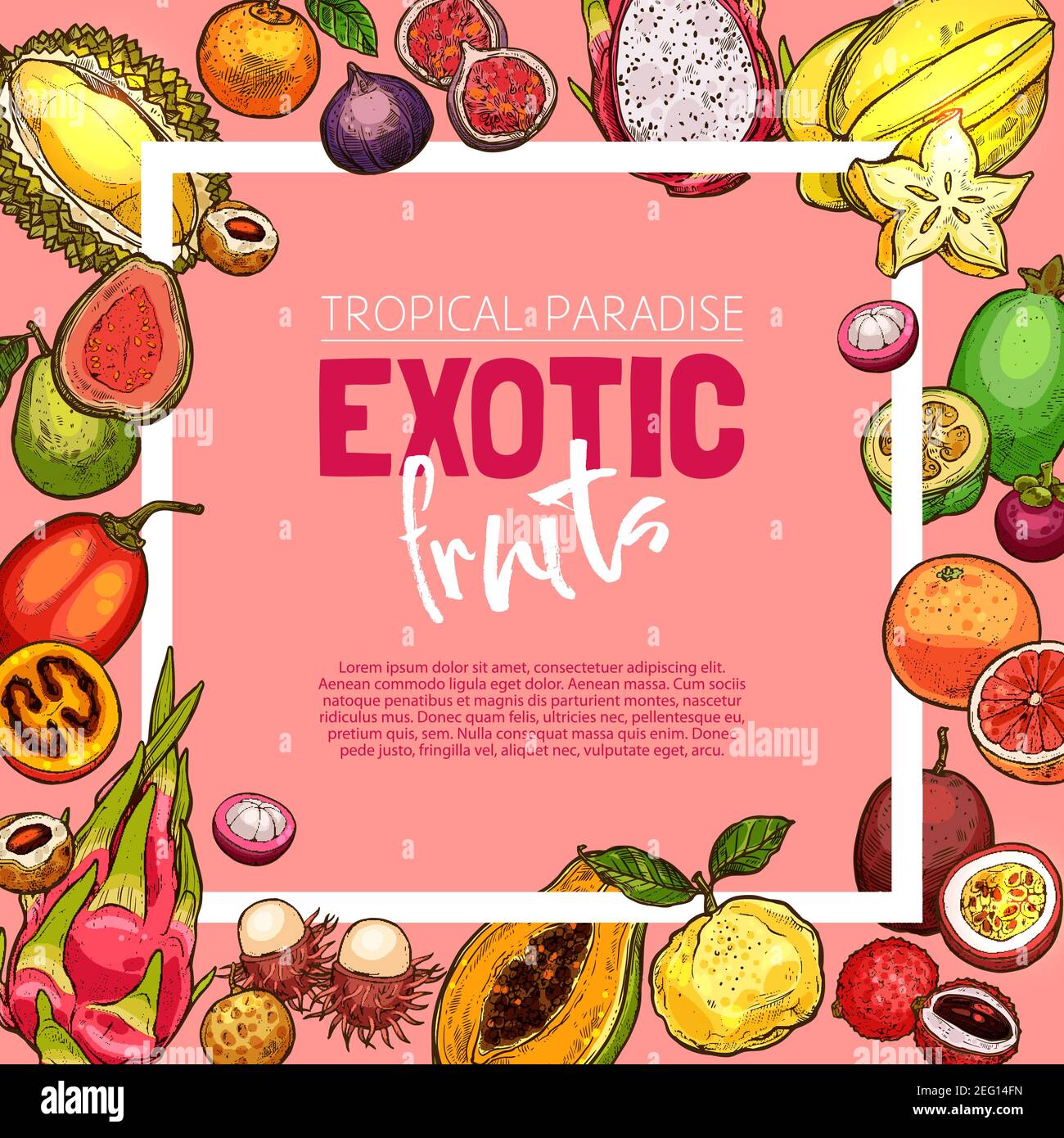 Exotic fruit and berry sketch poster. Tropical fruit frame of orange ...