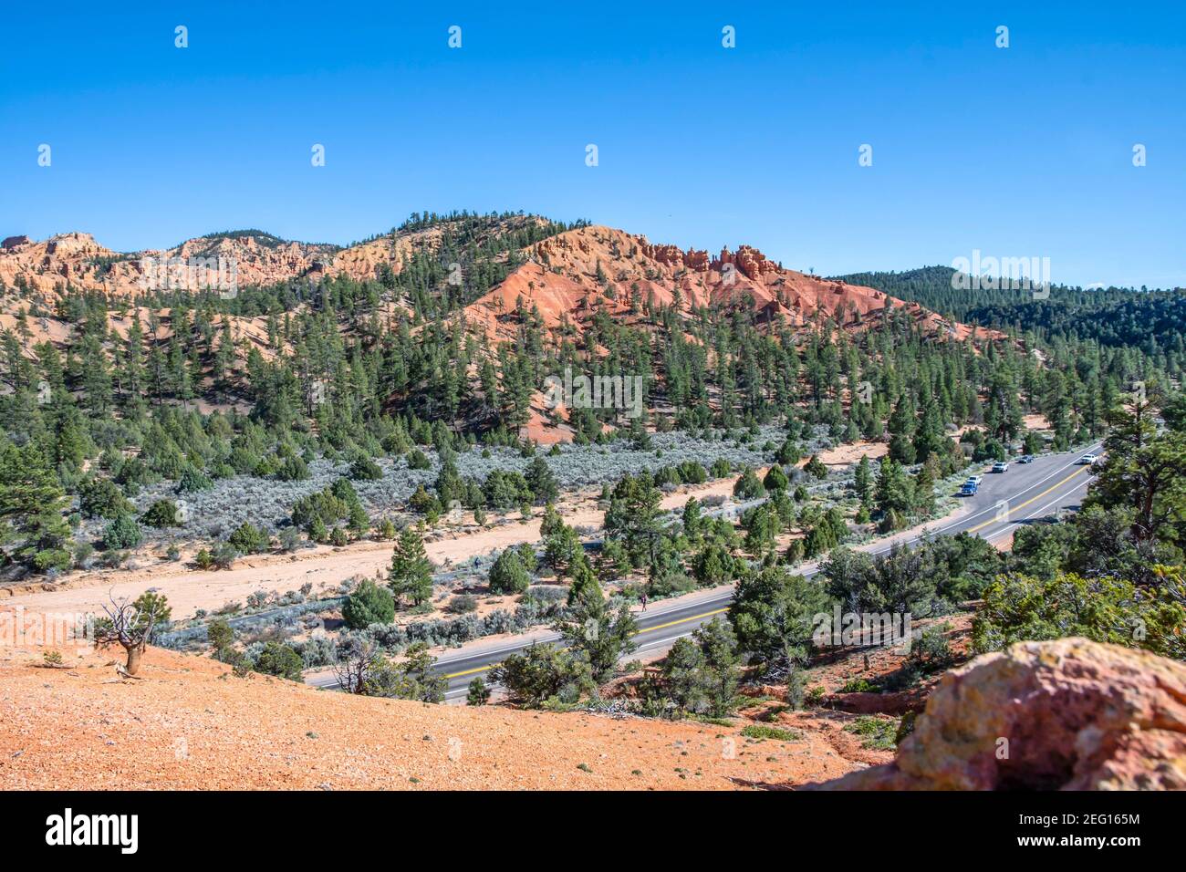 An overlooking view of nature in Dixie National Forest, Utah Stock ...