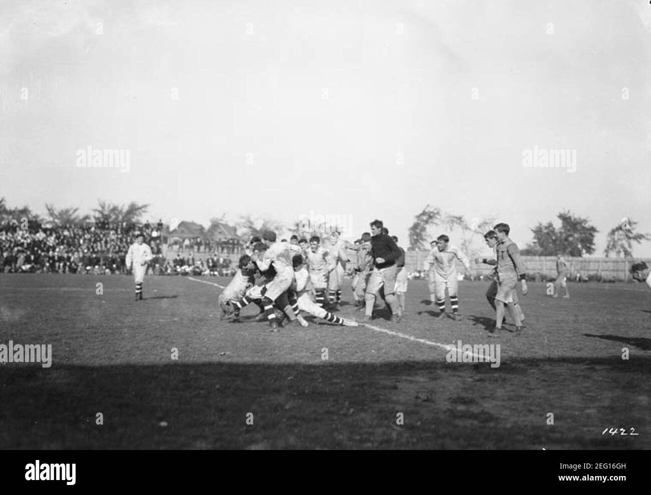 Ottawa and Hamilton Tigers football game 5 Stock Photo - Alamy
