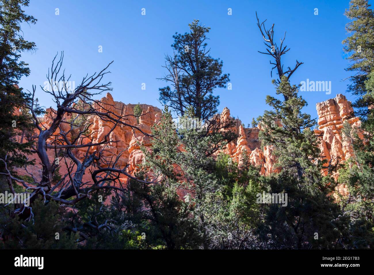 An overlooking view of nature in Dixie National Forest, Utah Stock ...