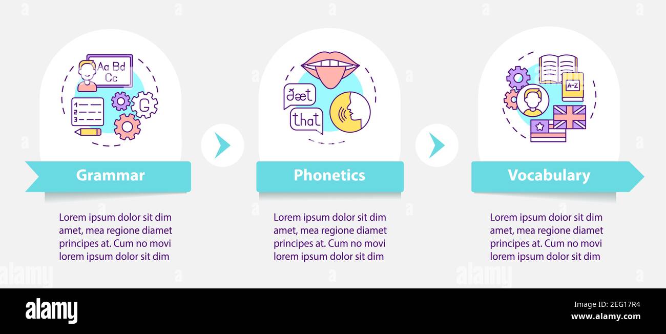 Language study vector infographic template Stock Vector Image & Art - Alamy