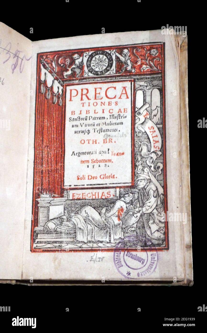 Brunfels hi-res stock photography and images - Alamy