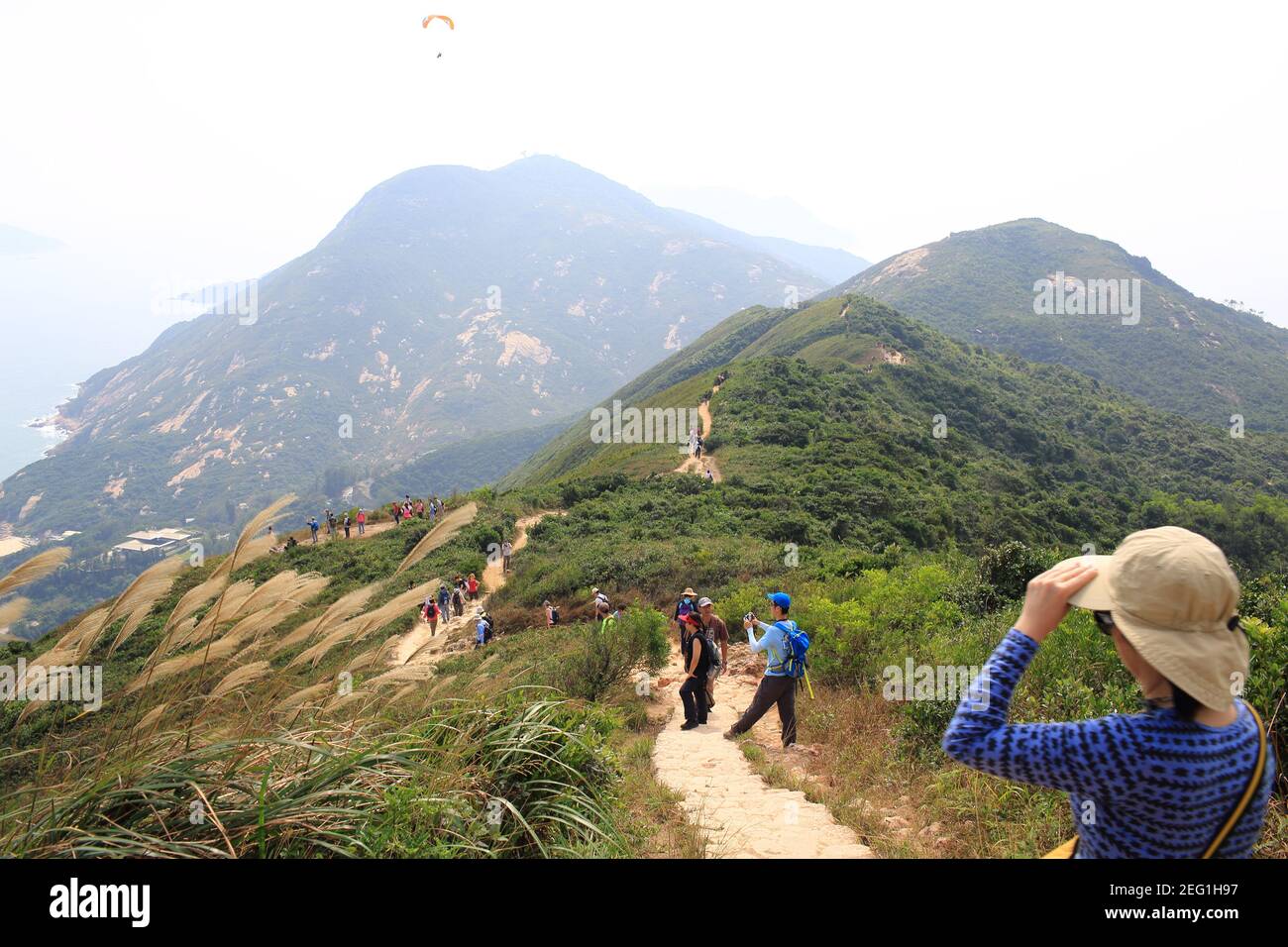 Hong kong dragon back hi-res stock photography and images - Alamy