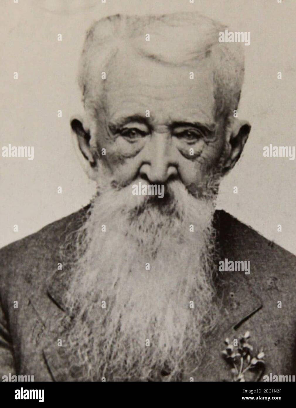 Stutzer hi-res stock photography and images - Alamy