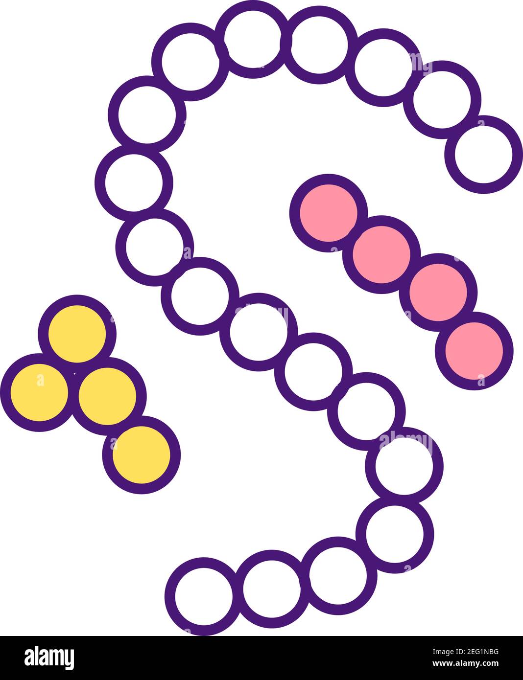 Streptococcus bacteria Stock Vector Images - Alamy